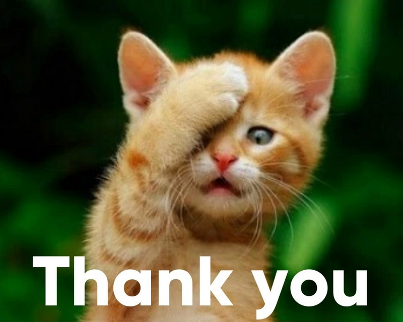 Tổng hợp những meme thank you thịnh hành để bạn tương tác trên mạng xã ...