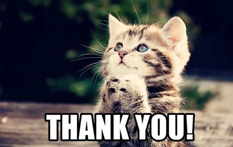 Tổng hợp những meme thank you thịnh hành để bạn tương tác trên mạng xã ...