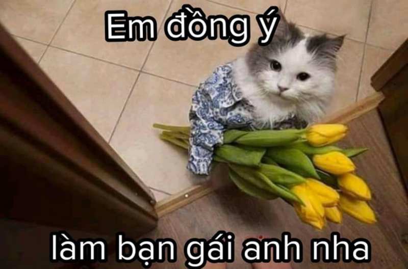 Những mẫu meme tình yêu siêu dễ thương dành cho couple, người dùng mạng ...