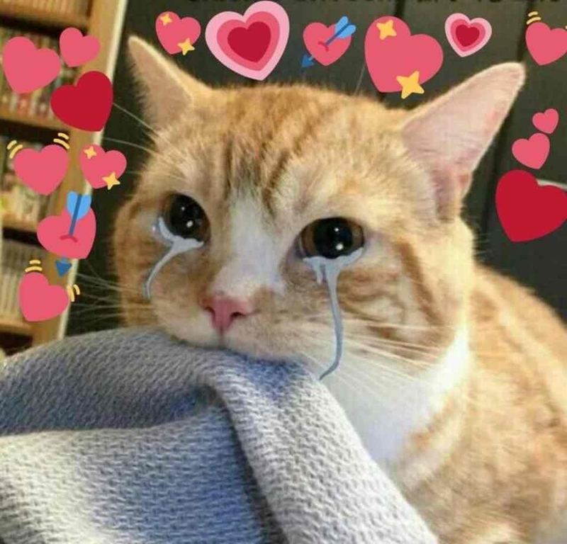 Mời bạn tải ngay các mẫu meme trái tim siêu đáng yêu, ấn tượng và hài ...