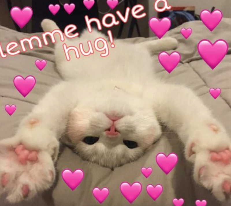 Mời bạn tải ngay các mẫu meme trái tim siêu đáng yêu, ấn tượng và hài ...