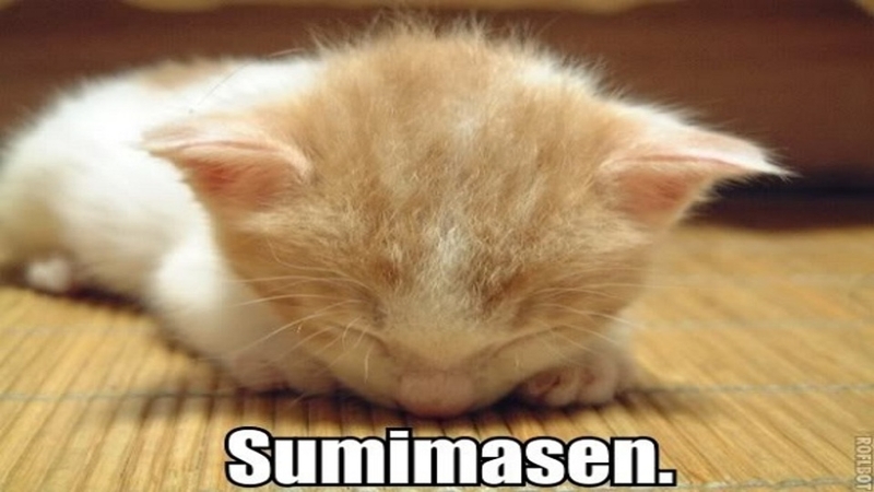 Meme xin lỗi được yêu thích nhất để xin tha thứ một cách đáng yêu