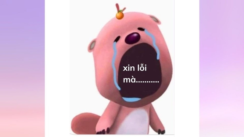 Meme xin lỗi được yêu thích nhất để xin tha thứ một cách đáng yêu