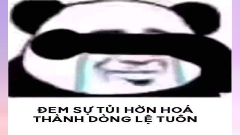 Meme xin lỗi được yêu thích nhất để xin tha thứ một cách đáng yêu