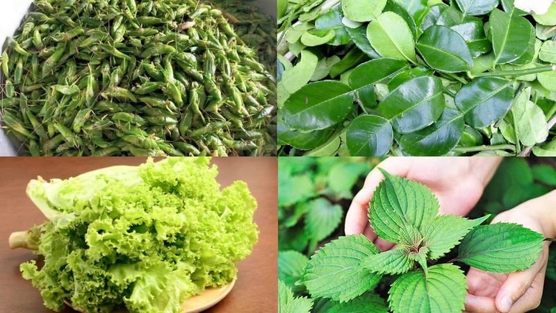 Cách làm muồm muỗm rang lá chanh ngon đúng điệu, chuẩn vị Yên Bái