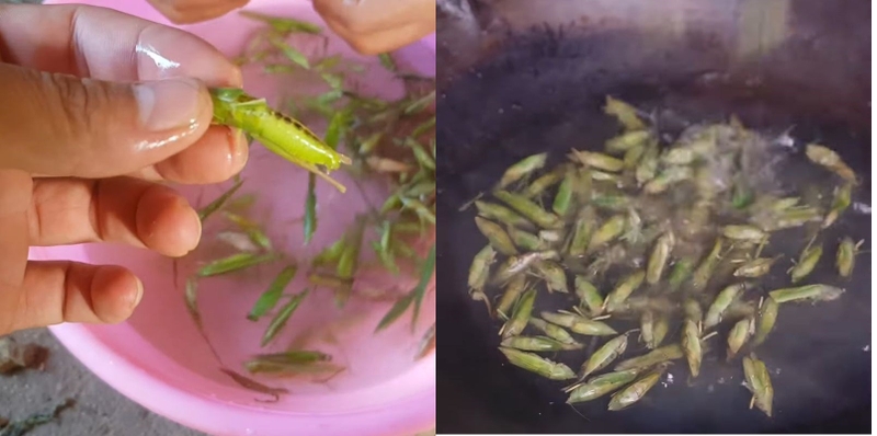 Cách làm muồm muỗm rang lá chanh ngon đúng điệu, chuẩn vị Yên Bái