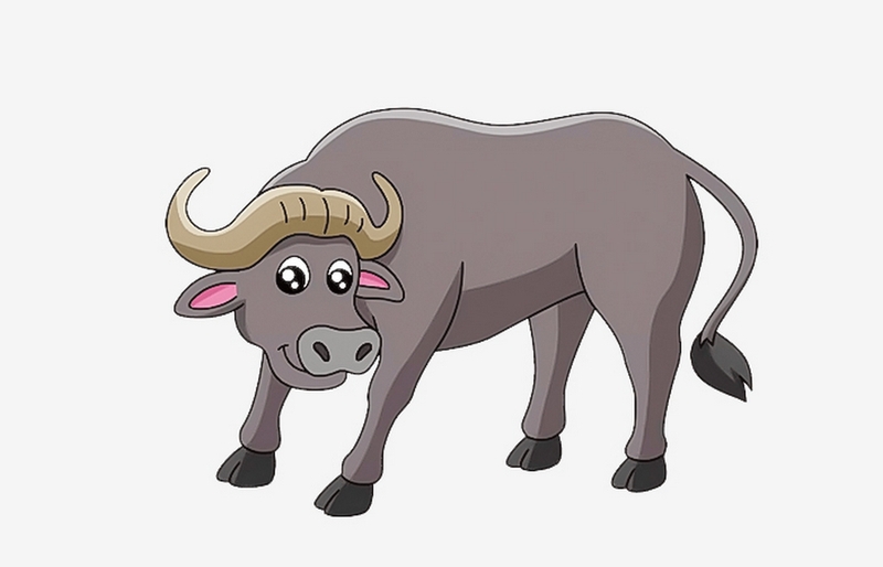 Năm 2033 là năm con gì? Ai hợp tuổi, hợp màu, hợp hướng trong năm 2033?