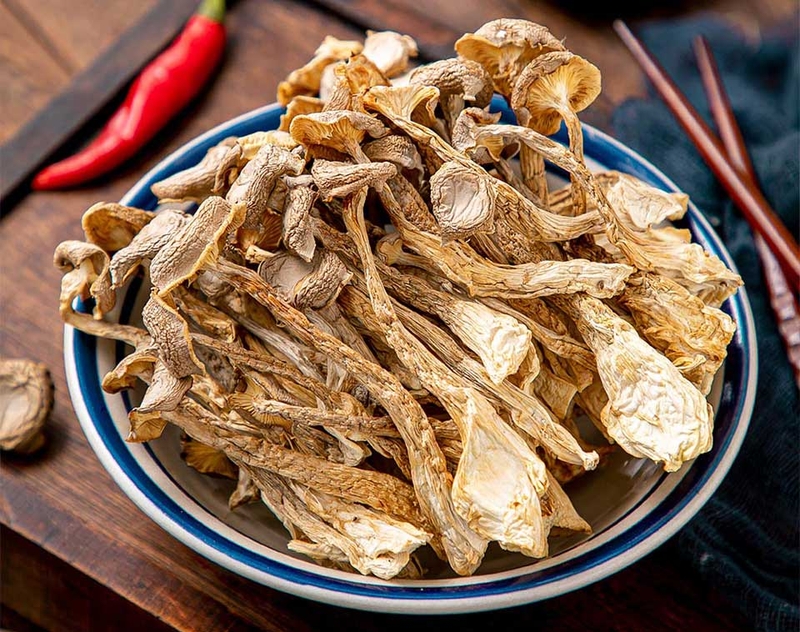 Nấm lộc nhung là gì? Tác dụng, cách dùng và những điều cần biết