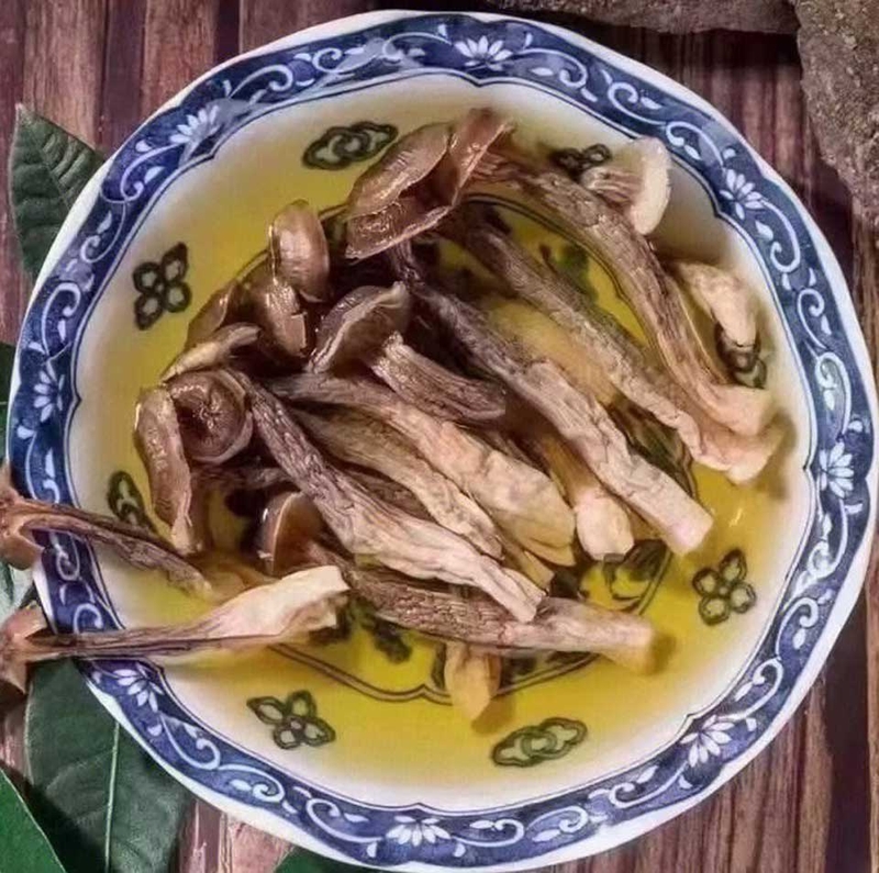 Nấm lộc nhung là gì? Tác dụng, cách dùng và những điều cần biết
