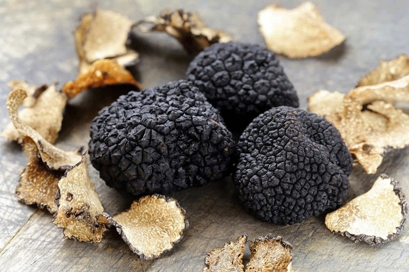 Nấm truffle – Viên kim cương đen quý hiếm và biểu tượng của ẩm thực ...
