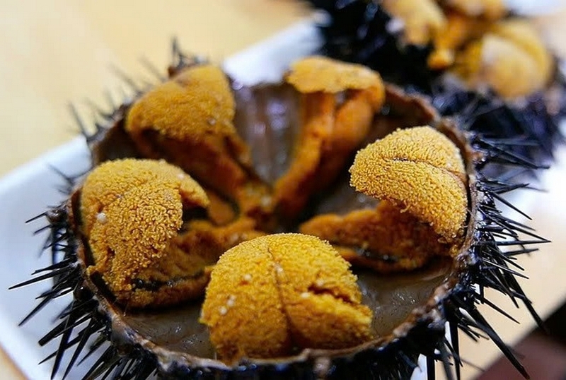 Nhum biển là gì? Hàm lượng dinh dưỡng và những món ăn hấp dẫn chế biến ...