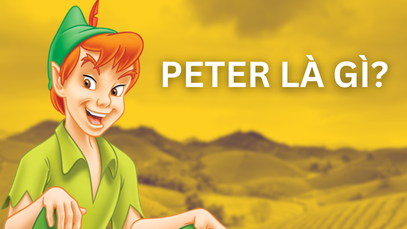 Peter là gì? Tìm hiểu ý nghĩa, nguồn gốc và những cách sử dụng phổ biến