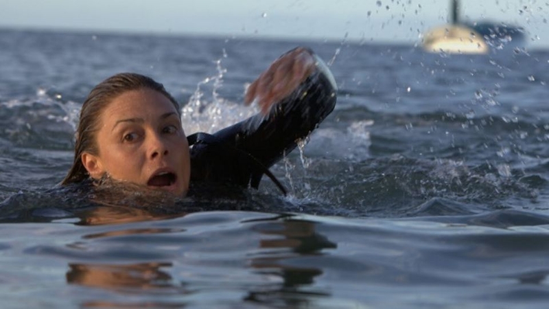 Top 12 phim cá mập siêu kinh dị, gay cấn và ám ảnh nhất