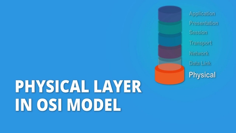 Physical Layer trong mô hình OSI là gì? Vai trò và cách hoạt động