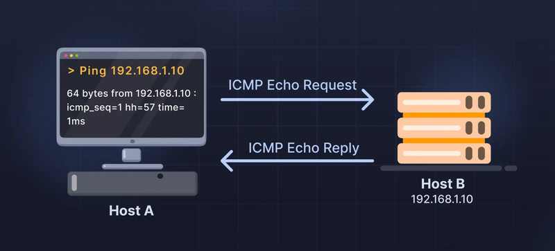 Ping Test là gì? Hướng dẫn chi tiết cách thực hiện và ứng dụng