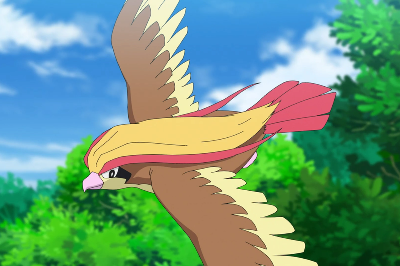 Danh sách toàn bộ Pokemon hệ Bay và top 10 chiến binh mạnh nhất