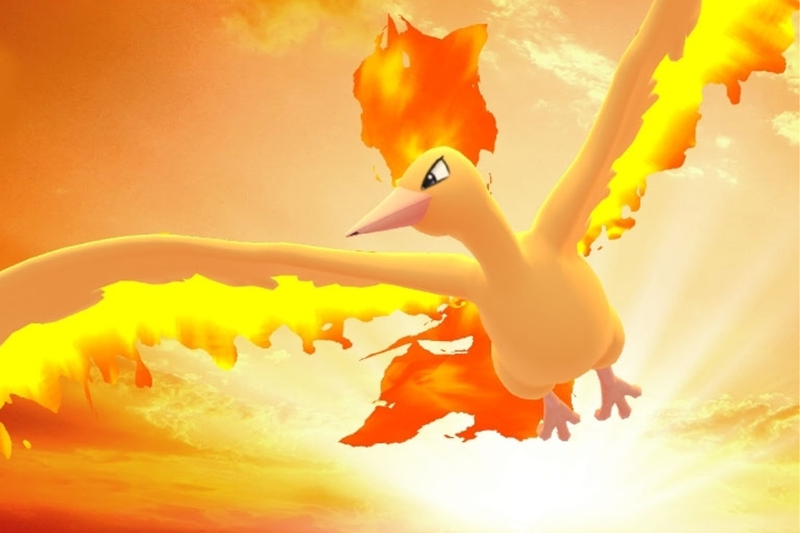 Danh sách toàn bộ Pokemon hệ Bay và top 10 chiến binh mạnh nhất