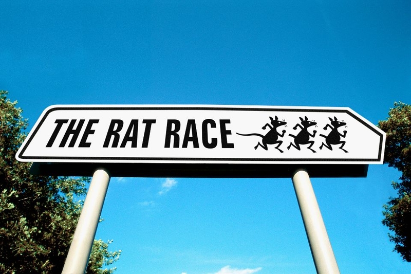Rat race là gì? Dấu hiệu để biết bạn đang mắc kẹt trong rat race
