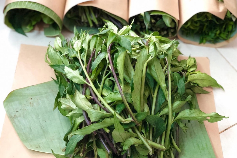 "Lên đời" sức khỏe với rau lủi rừng - Bí kíp của người xưa