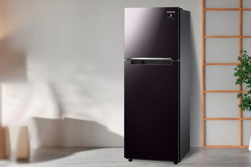 Đánh giá tủ lạnh RT22M4032BY/SV: Giải pháp bảo quản thực phẩm tối ưu