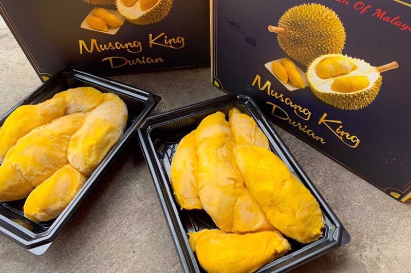 Sầu Musaking: Vua của các loại sầu riêng với hương vị đậm đà khó quên