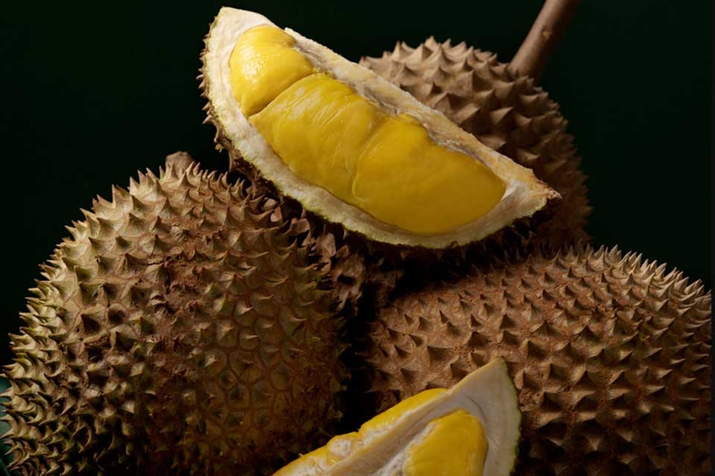 Sầu Musaking: Vua của các loại sầu riêng với hương vị đậm đà khó quên