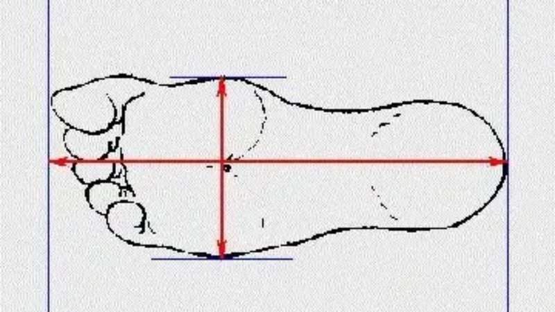 Size 240 là size bao nhiêu? Cách quy đổi size giày Hàn Quốc