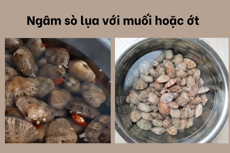 Khám phá sò lụa hấp Thái - món ngon đậm đà không thể bỏ qua