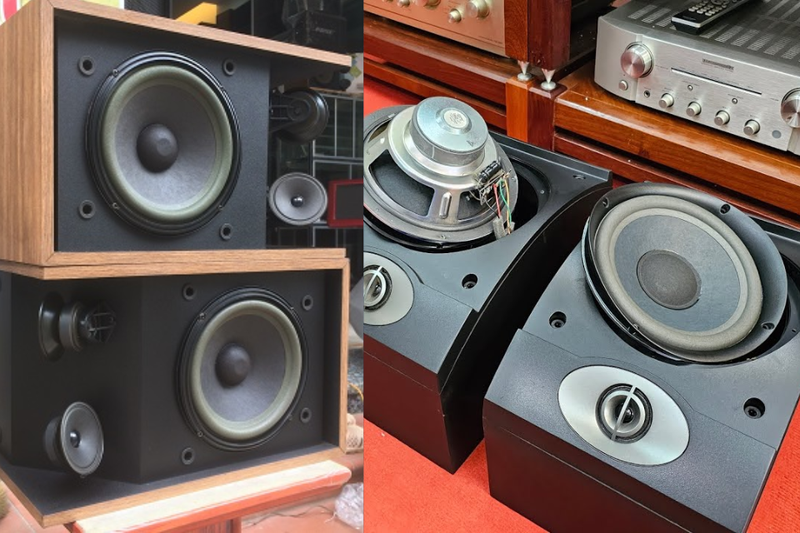So sánh loa Bose 301 Seri 3 và Seri 5: Phiên bản nào đáng chọn hiện nay?