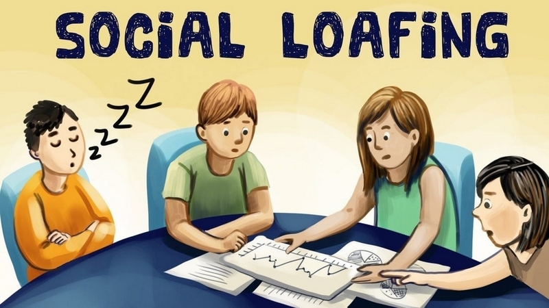 Social loafing là gì? Nguyên nhân, tác hại và cách khắc phục hiệu quả trong môi trường làm việc
