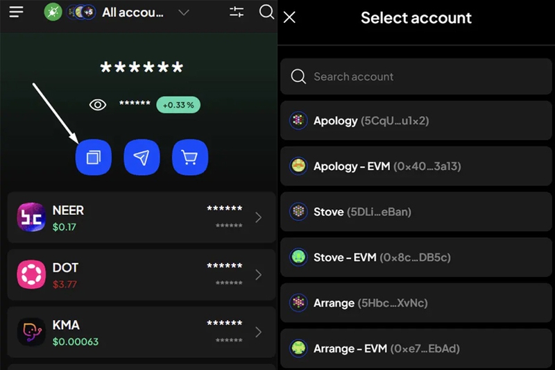SubWallet là gì? Ví tiền điện tử cho hệ sinh thái Polkadot