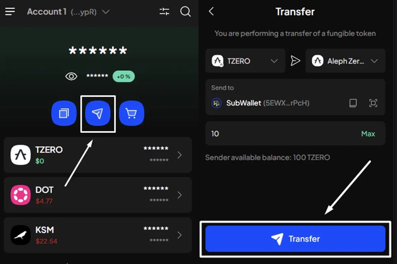 SubWallet là gì? Ví tiền điện tử cho hệ sinh thái Polkadot