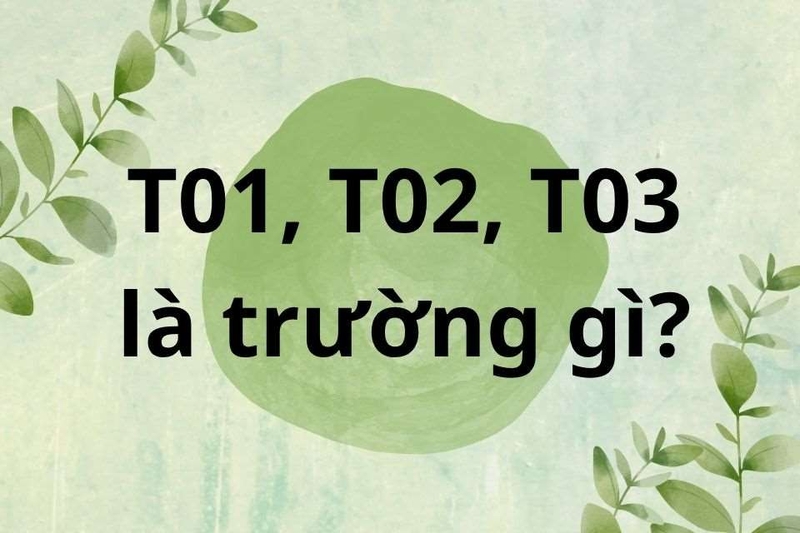 Giải mã T01, T02, T03, ký hiệu các học viện, trường CAND – Thông tin ...