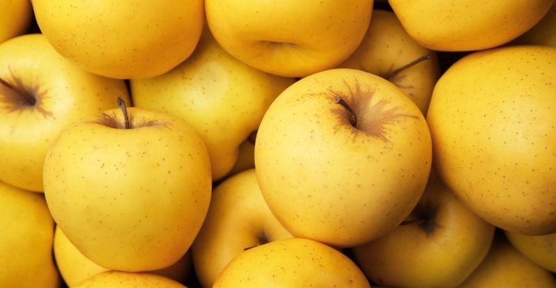 Táo Golden Delicious: Nguồn gốc xuất xứ, đặc điểm và cách trồng