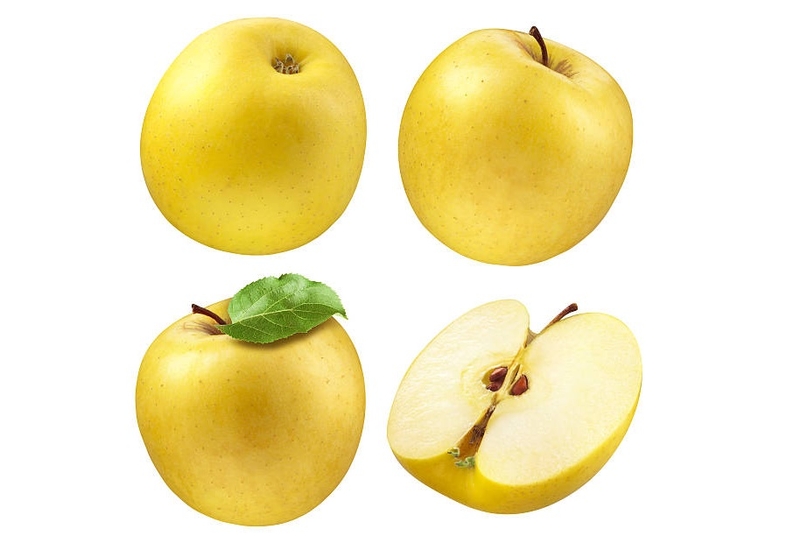 Táo Golden Delicious: Nguồn gốc xuất xứ, đặc điểm và cách trồng