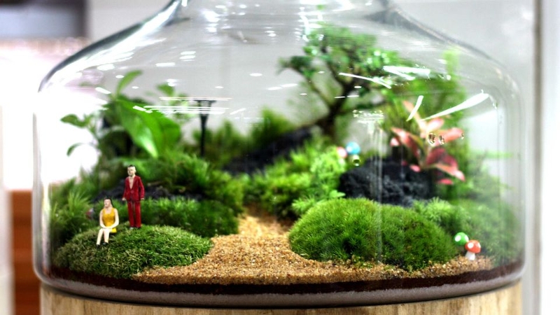 Terrarium là gì? Gợi ý những loại Terrarium đẹp, độc đáo