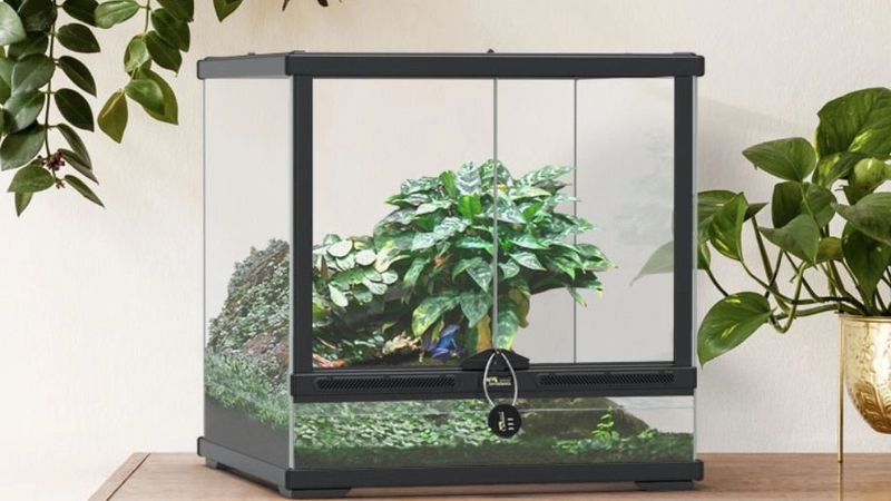 Terrarium là gì? Gợi ý những loại Terrarium đẹp, độc đáo