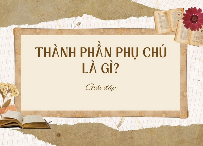 Thành phần phụ chú là gì? Cấu trúc, vai trò và cách sử dụng hiệu quả