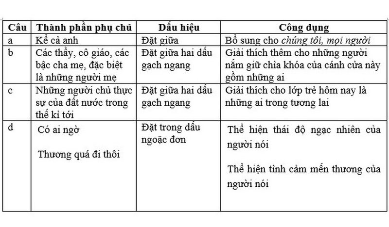Thành phần phụ chú là gì? Cấu trúc, vai trò và cách sử dụng hiệu quả