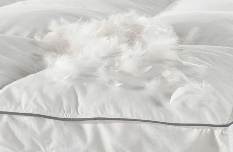 Topper là gì? Có những loại topper nào? Những lưu ý khi sử dụng nệm topper