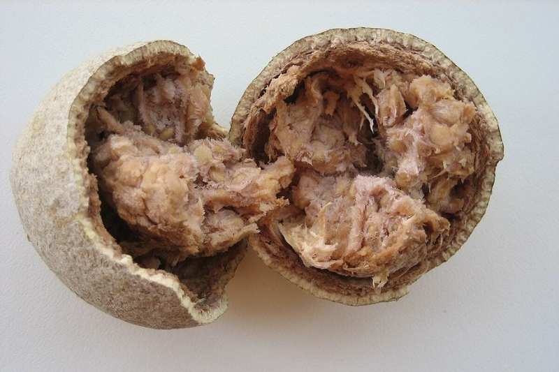 Trái quách là gì? Lợi ích sức khỏe tuyệt vời của loại quả này