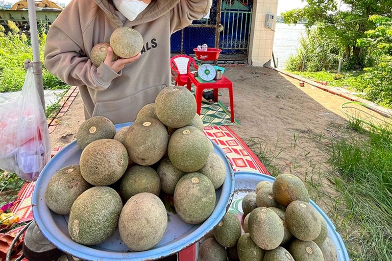 Trái quách là gì? Lợi ích sức khỏe tuyệt vời của loại quả này