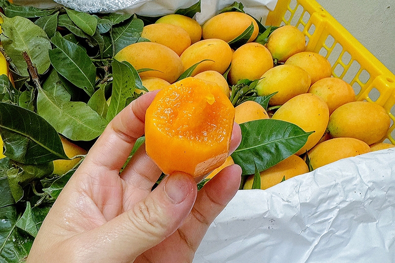 Trái thanh trà là gì? Công dụng và cách thưởng thức loại quả này