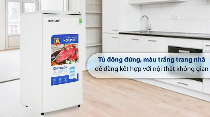 Khám phá những mẫu tủ đông mini giá rẻ tốt nhất hiện nay, lựa chọn lý ...