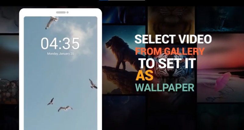 Video Live Wallpapers Maker giúp tạo hình nền động và HD siêu đẹp