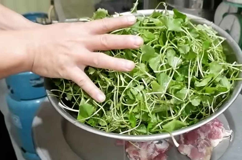 Thử ngay cách làm vịt xào rau má đổi gió cho cuối tuần này