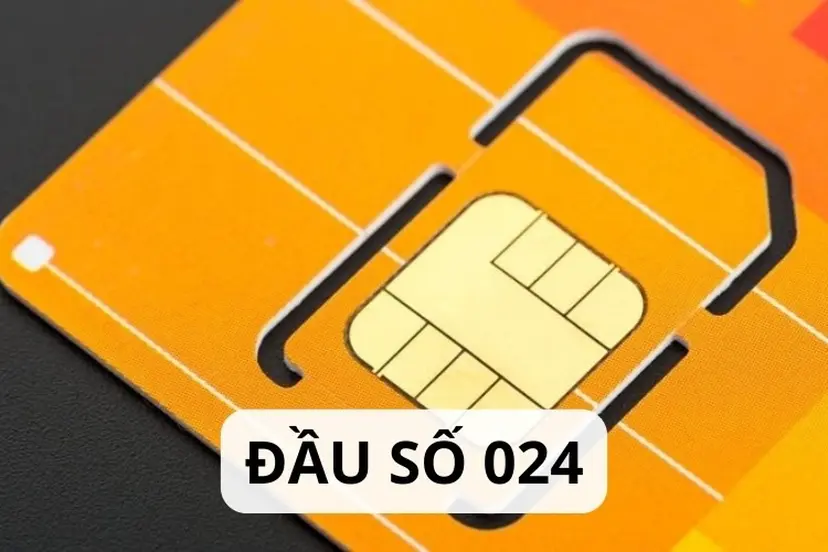 024 là mạng gì? Thuộc mã vùng ở đâu và có phải lừa đảo không?