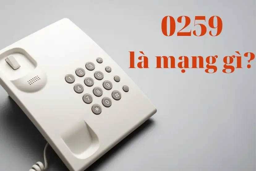 0259 là mạng gì? Đầu số 0259 là mã vùng tỉnh nào?