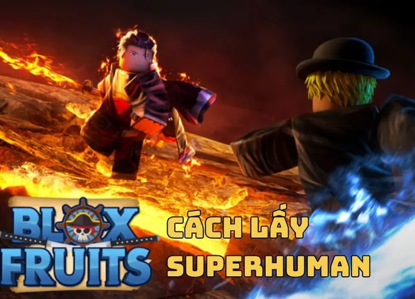 Hướng dẫn chi tiết cách lấy Superhuman trong Blox Fruit đơn giản