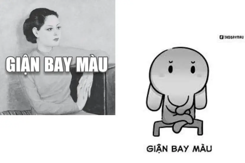 Tổng hợp meme bay màu, meme hài hước cực thú vị, lưu ngay!